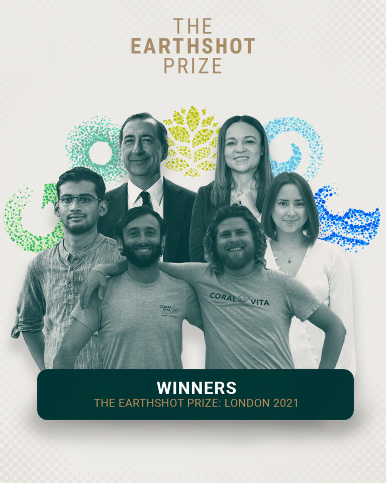 The Earthshot Prize - Royal Foundation